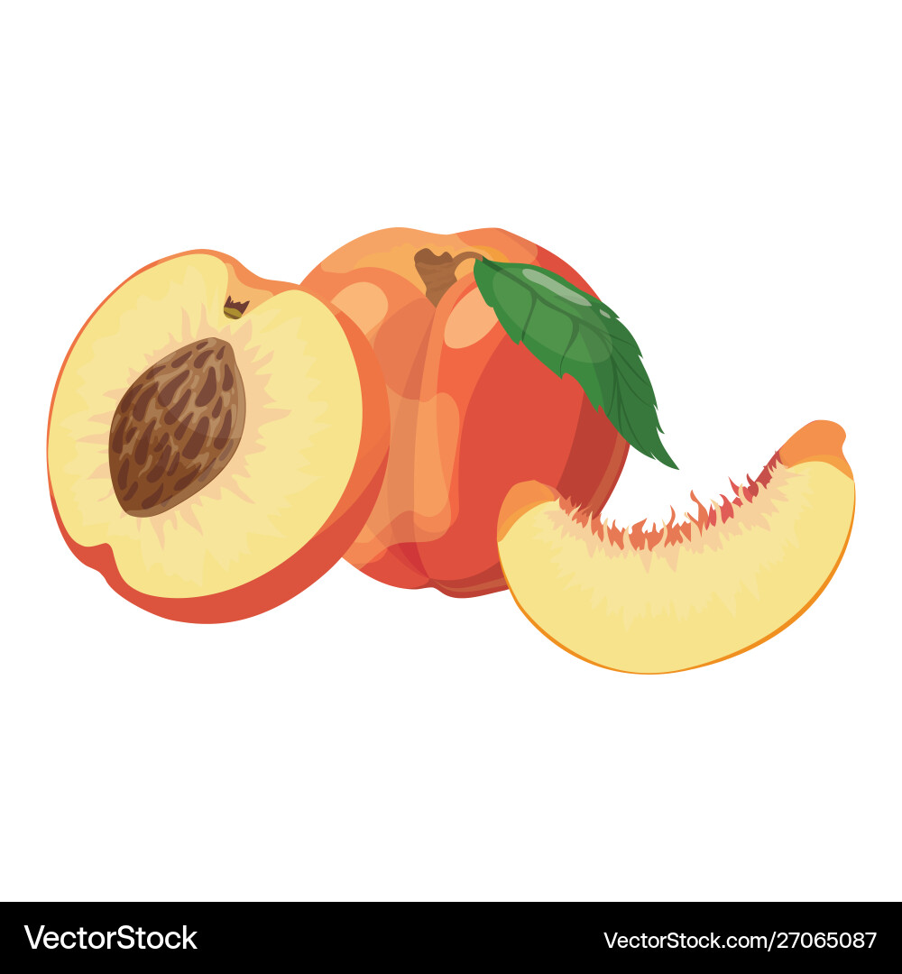 Cartoon peach a in cut Royalty Free Vector Image