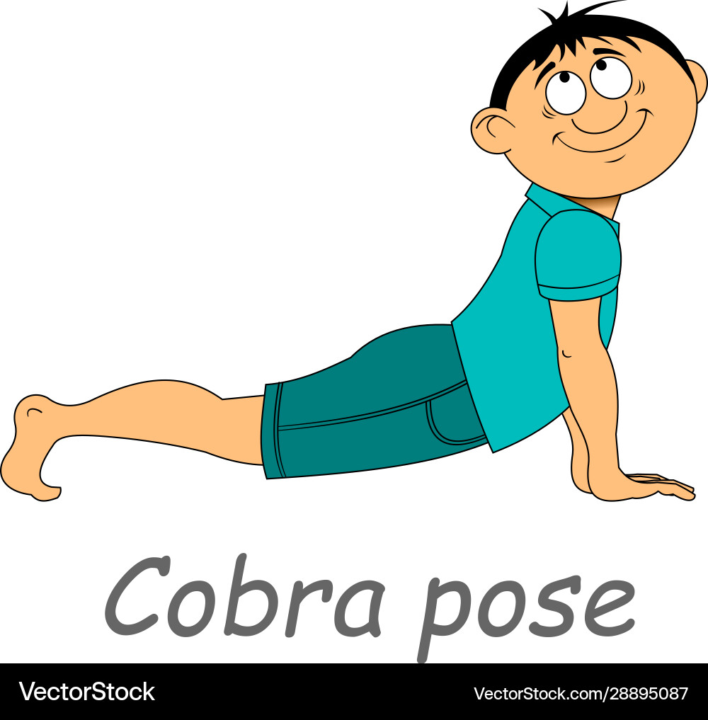Cobra pose Royalty Free Vector Image - VectorStock