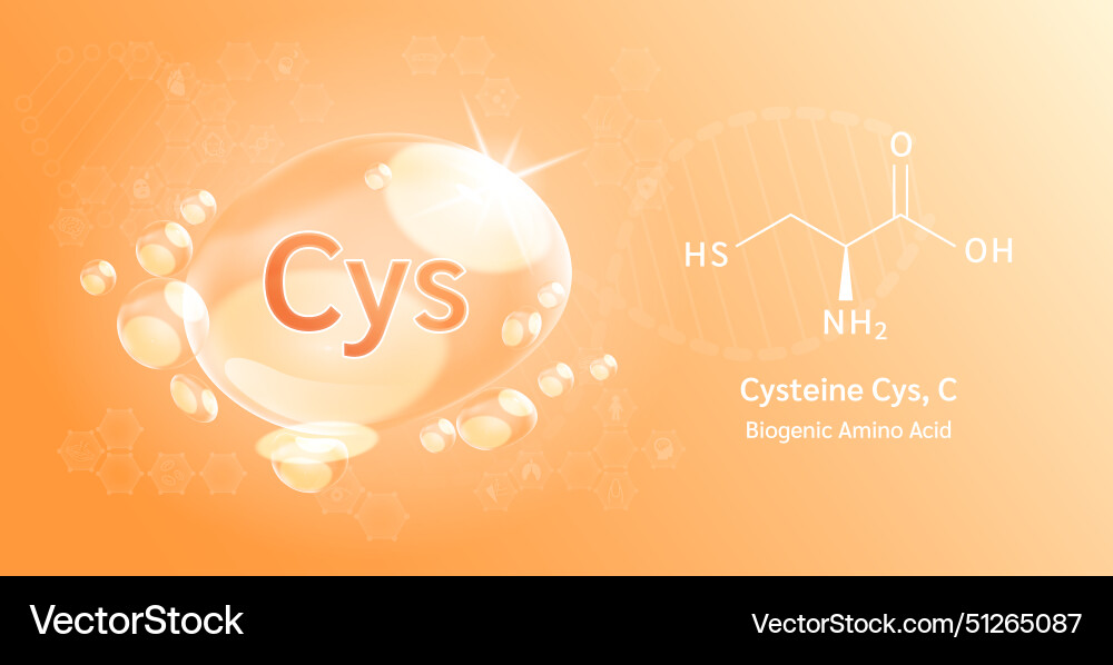 Cysteine Royalty Free Vector Image - VectorStock