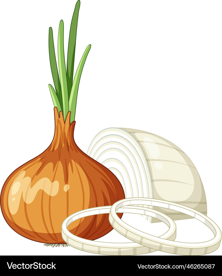 Isolated onion cartoon style Royalty Free Vector Image