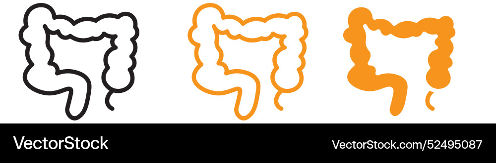Large intestine icon set digestive system Vector Image