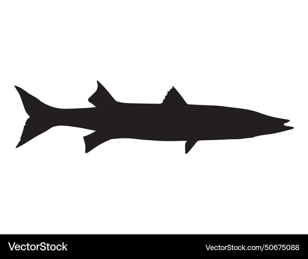 Barracuda fish silhouette art Royalty Free Vector Image