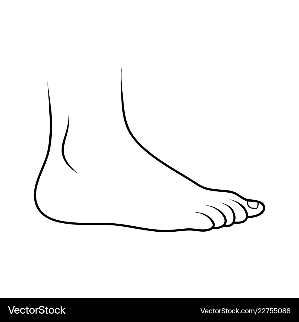 Foot icon outline design isolated on white Vector Image