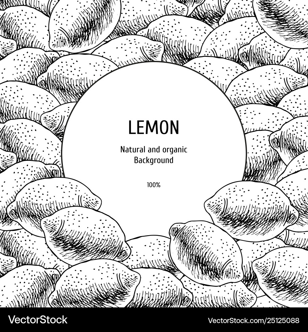 Hand drawn background with lemon vintage Vector Image