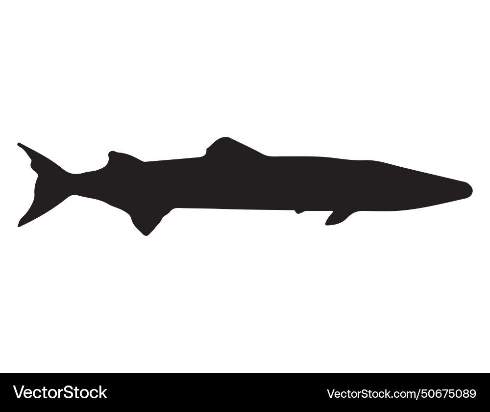Barracuda fish silhouette art Royalty Free Vector Image
