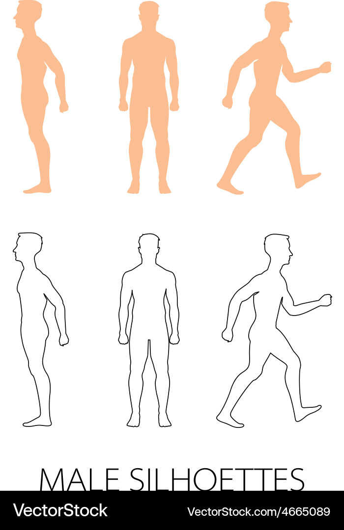 Male silhouettes front back and side Royalty Free Vector