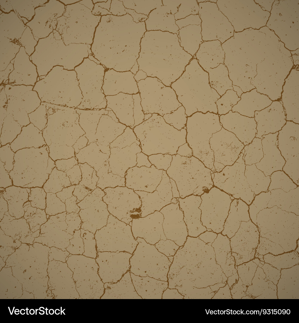 Cracked earth texture Royalty Free Vector Image