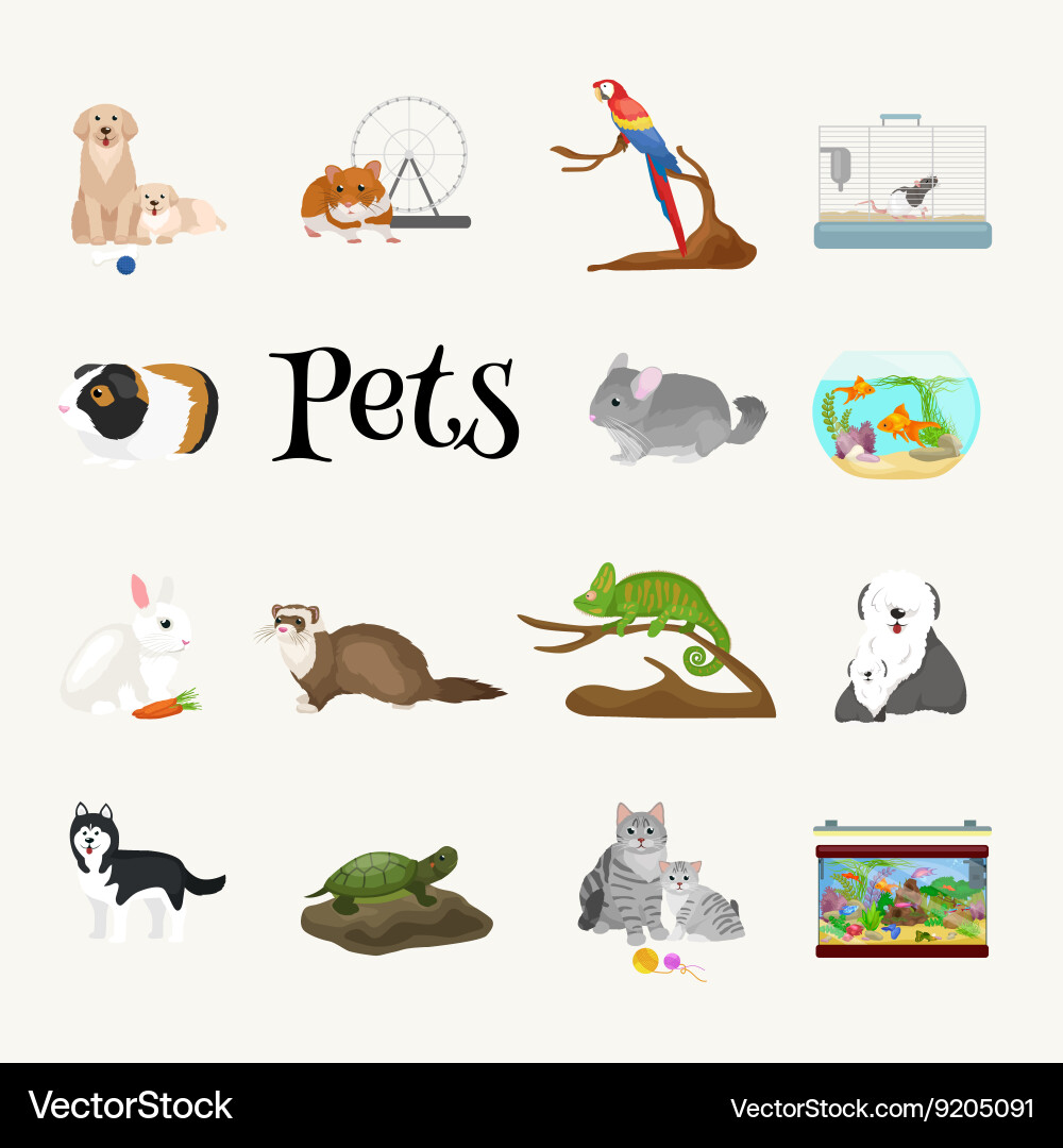 Domestic Pets Set - Animals Royalty Free Vector Image