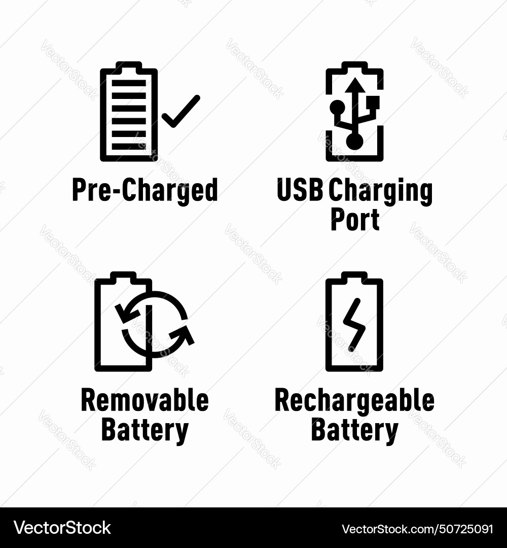 Pre-charged usb charging port removable battery Vector Image