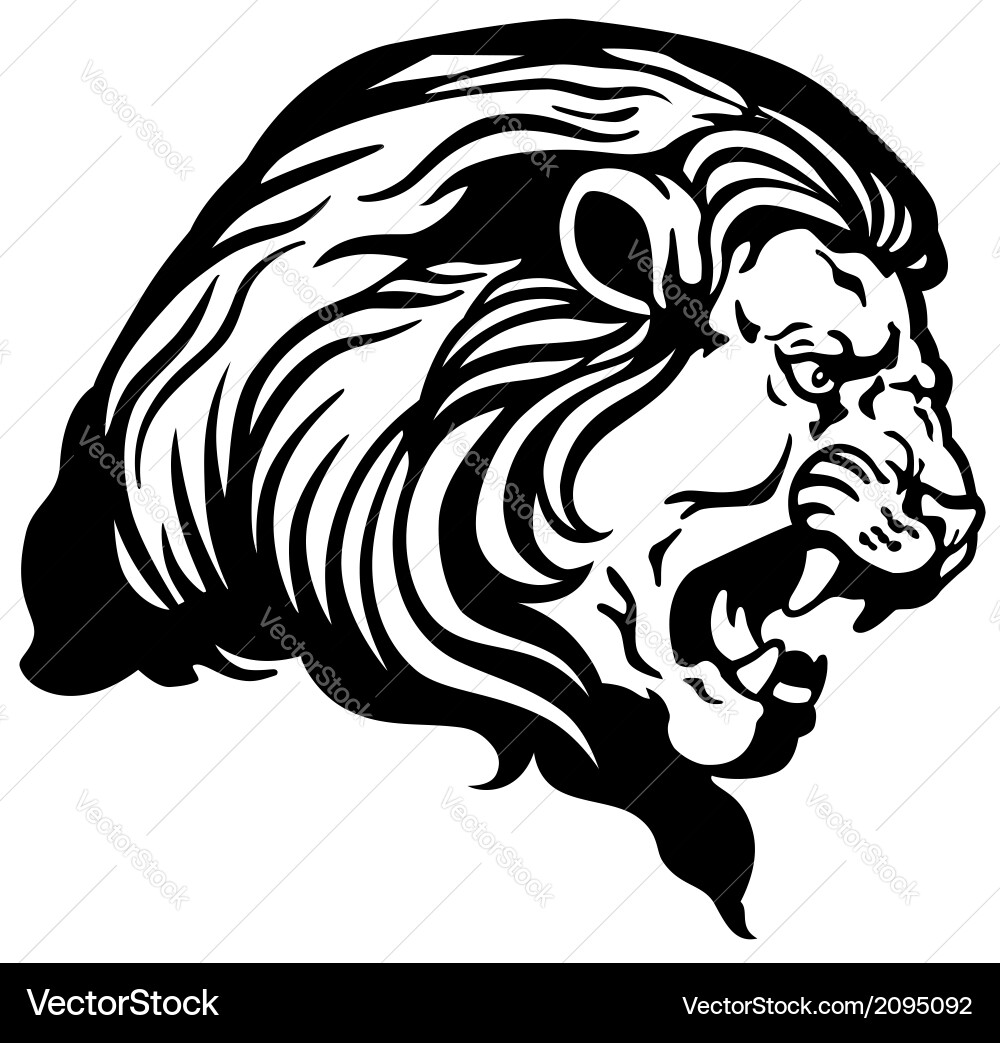Angry Lion Head Royalty Free Vector Image - VectorStock