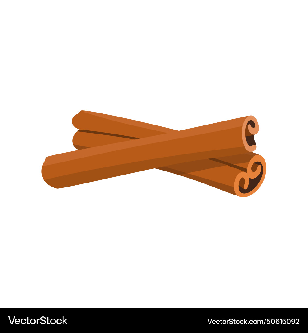 Two cinnamon sticks Royalty Free Vector Image - VectorStock