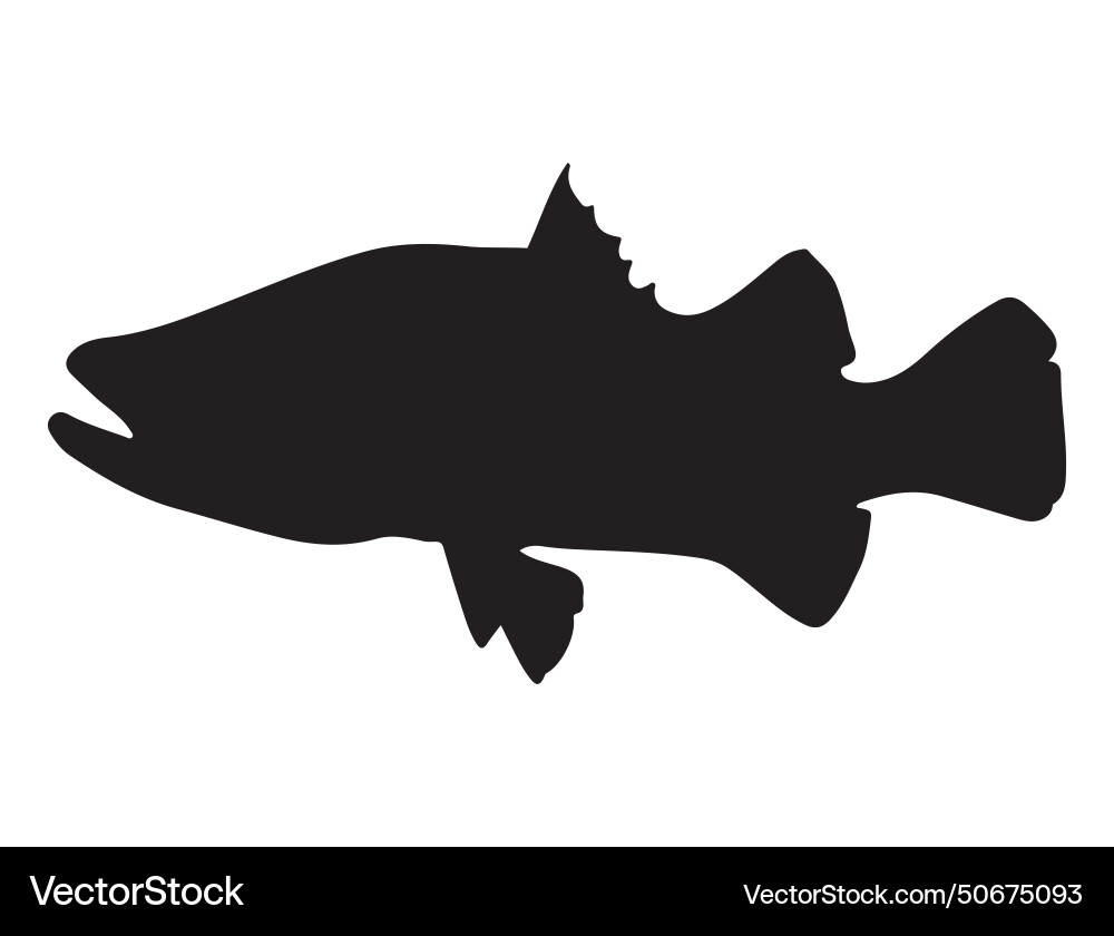 Barramundi fish silhouette art Royalty Free Vector Image