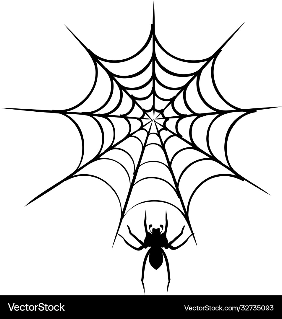 Spooky Spider Web Icon Royalty Free Vector Image