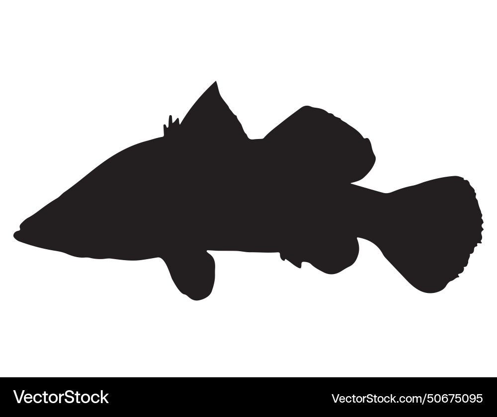 Barramundi fish silhouette art Royalty Free Vector Image