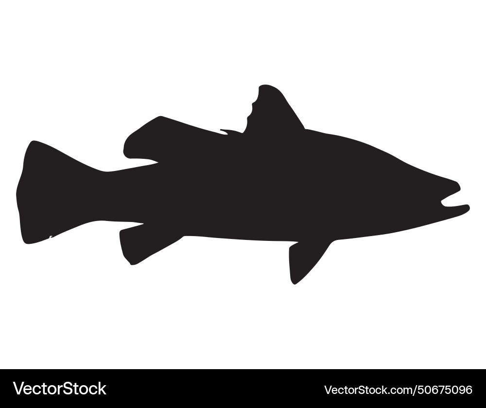 Barramundi fish silhouette art Royalty Free Vector Image