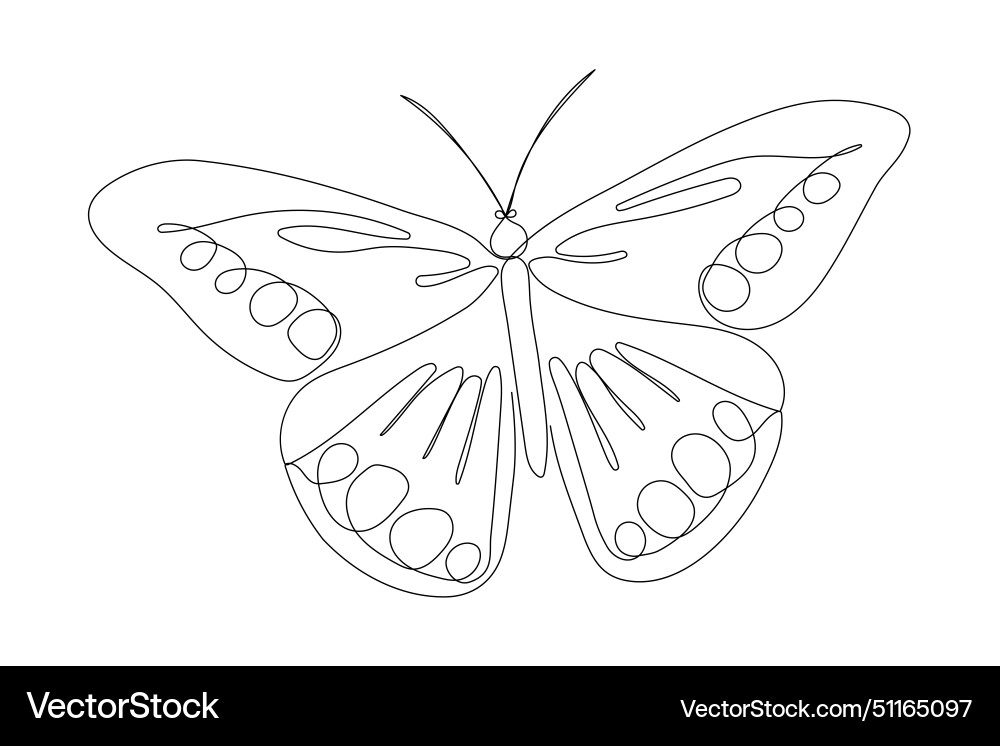One line butterfly sketch single hand drawn Vector Image