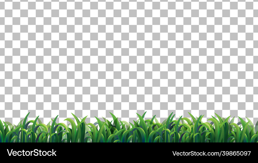 Simple grass field on transparent background Vector Image