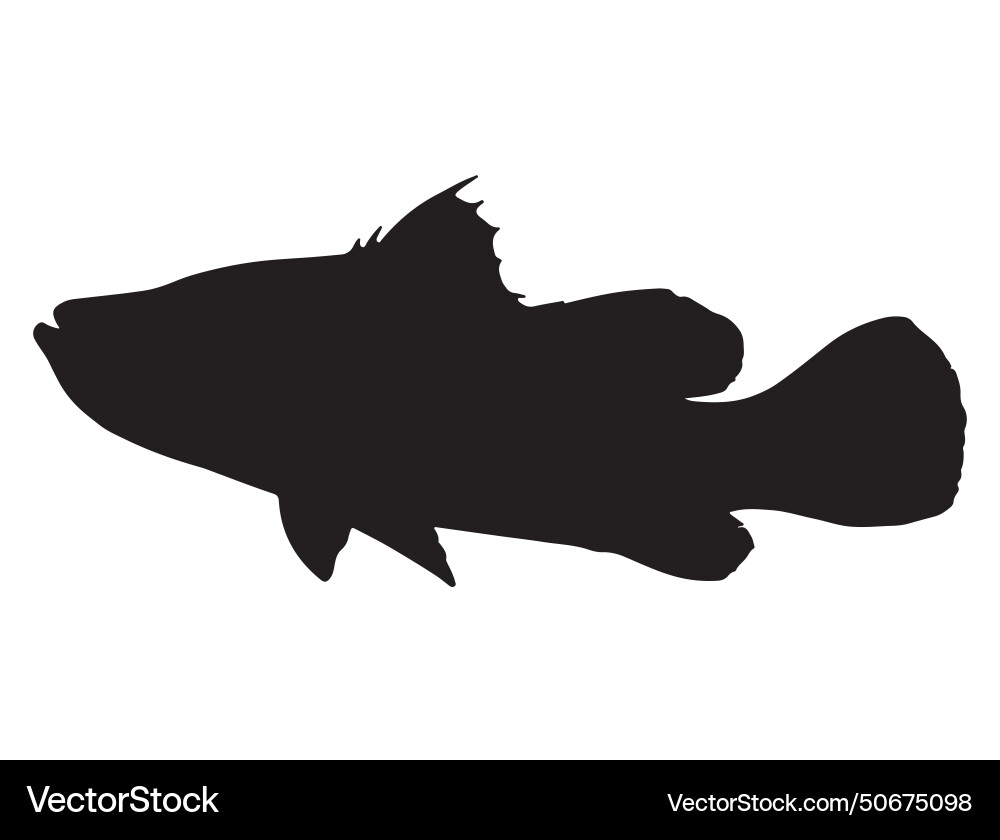 Barramundi fish silhouette art Royalty Free Vector Image