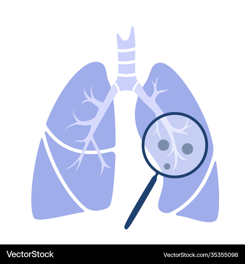 Respiratory System Anatomy Royalty Free Vector Image