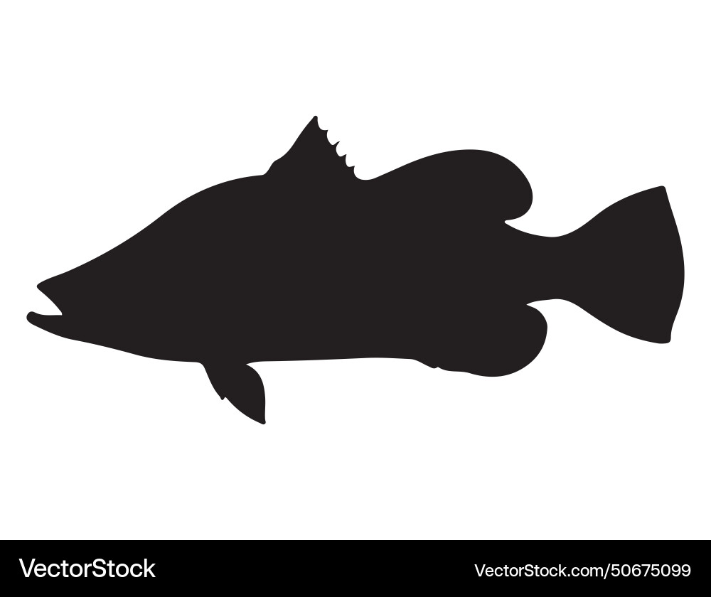 Barramundi fish silhouette art Royalty Free Vector Image
