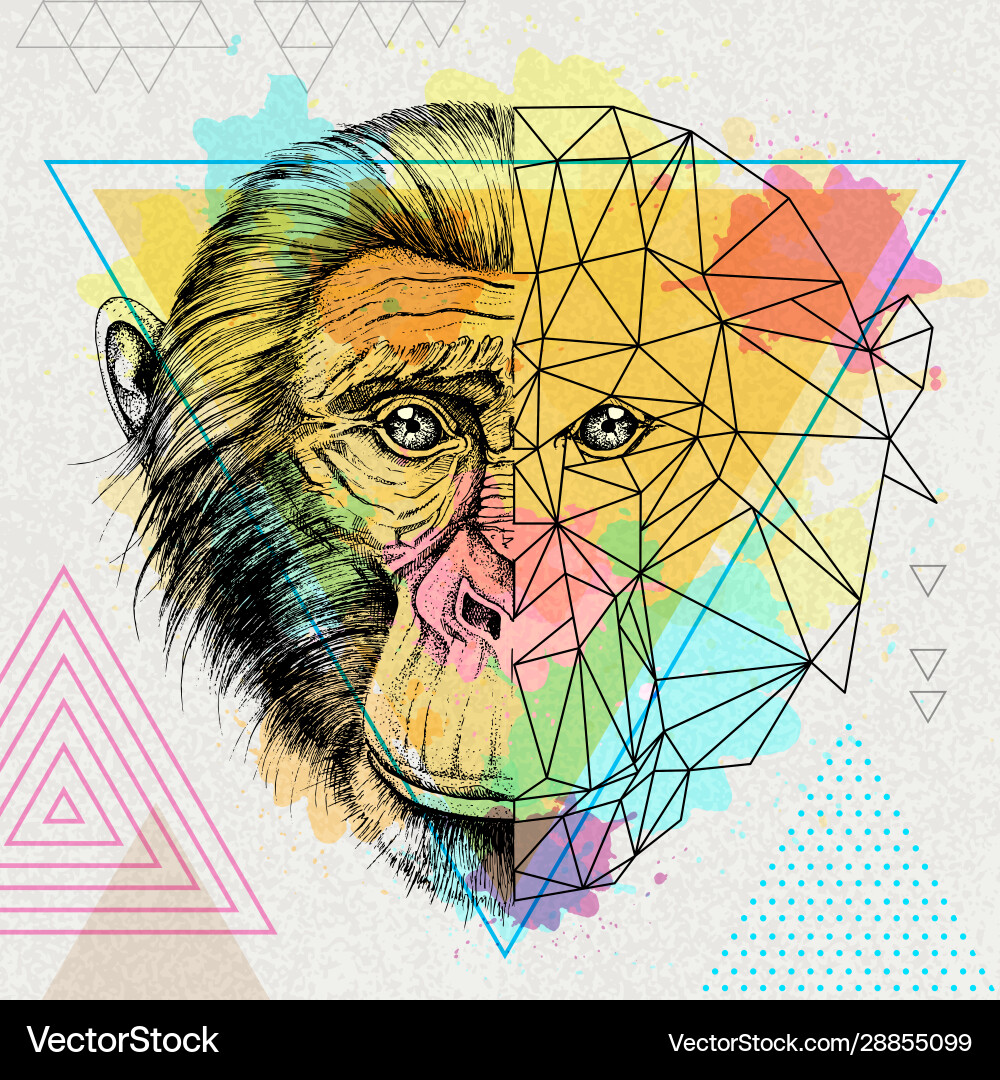 Polygonal Monkey Portrait Royalty Free Vector Image