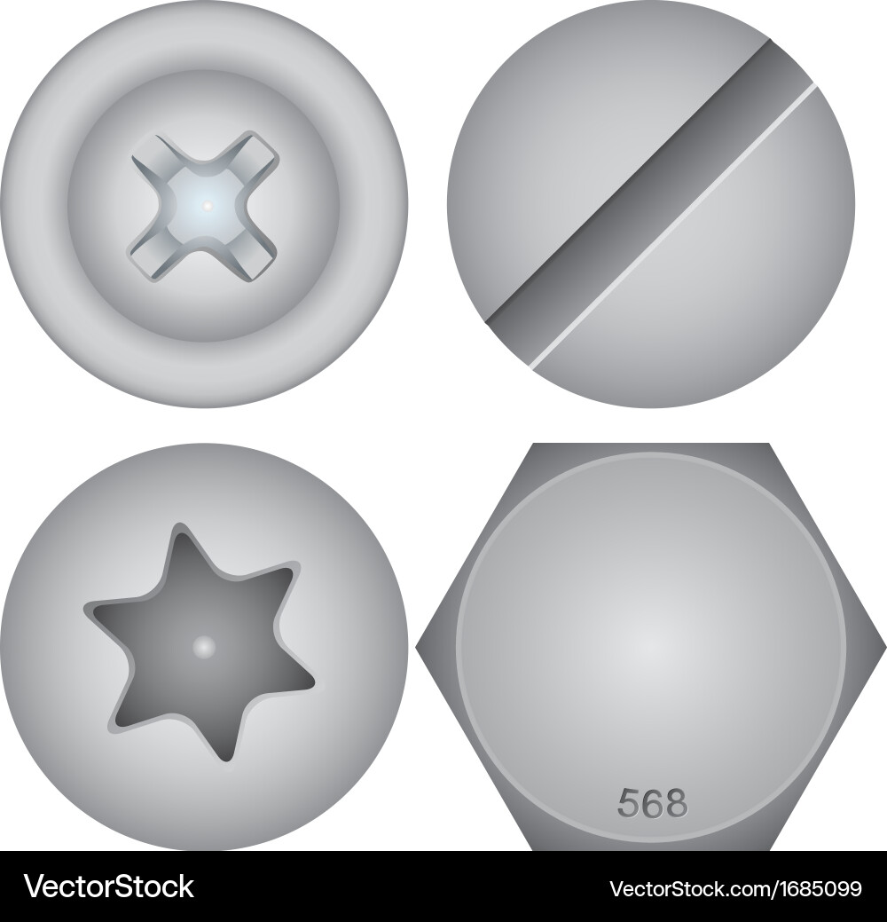 Screw heads Royalty Free Vector Image - VectorStock