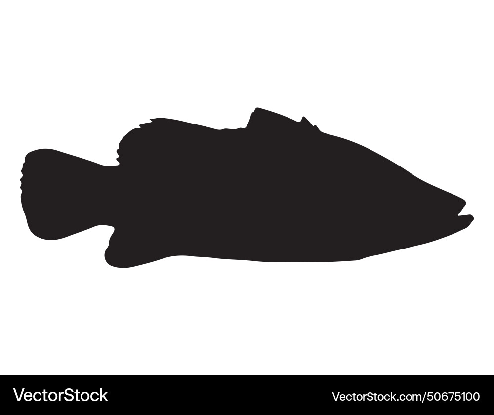 Barramundi fish silhouette art Royalty Free Vector Image