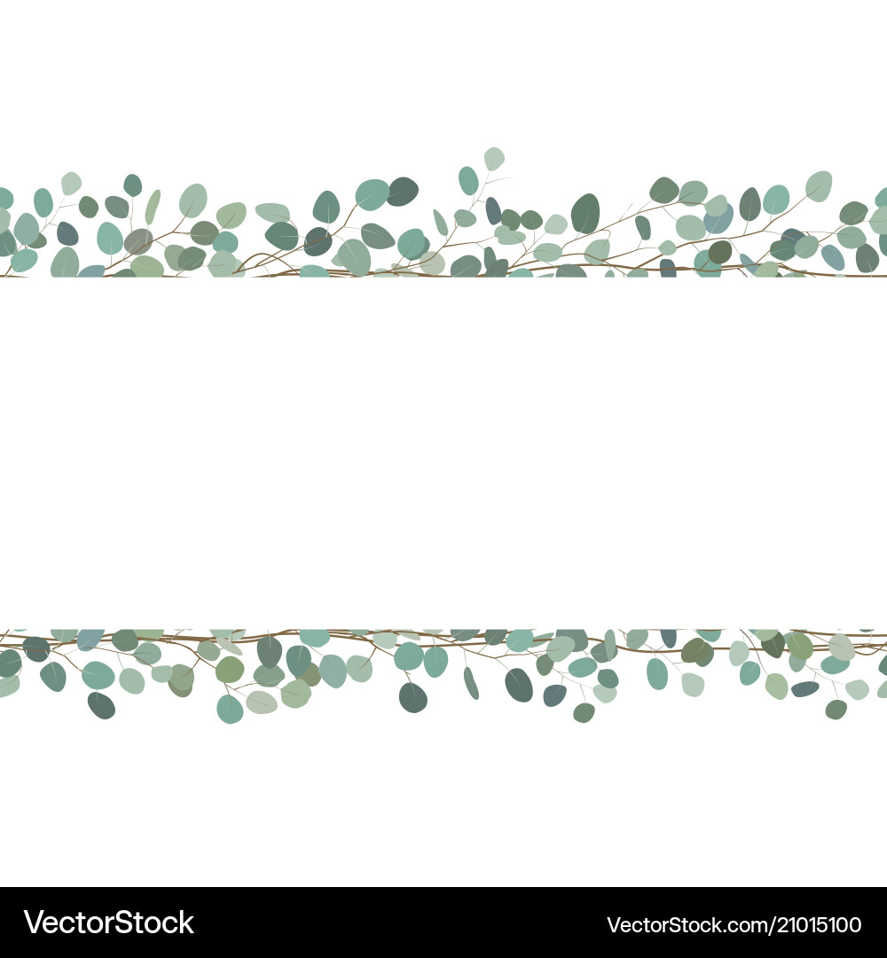 Eucalyptus Borders Vector Images (over 4,800)