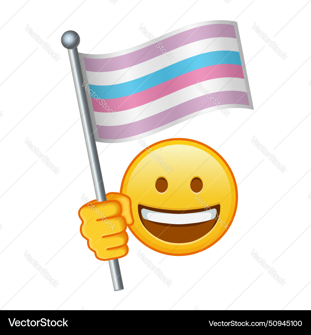 Emoji with bigender pride flag large size Vector Image