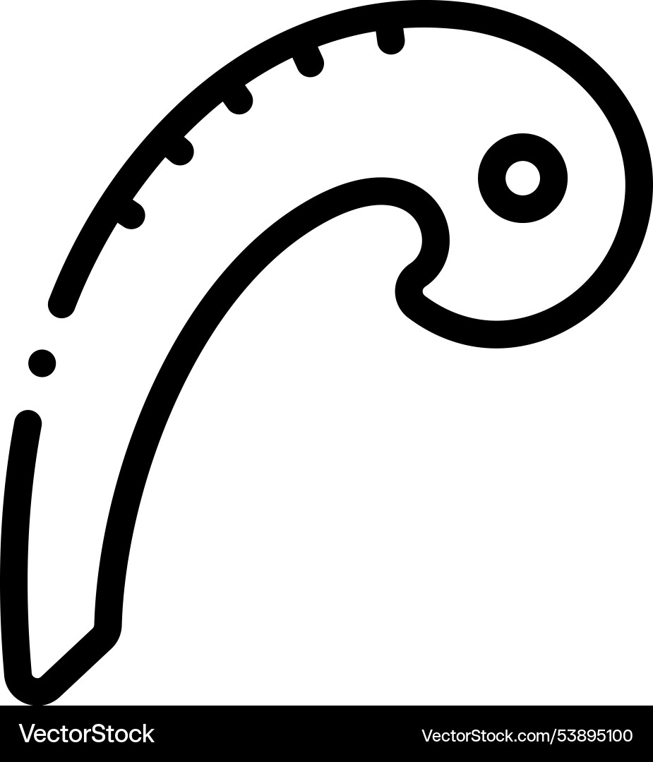 French Curve Designs