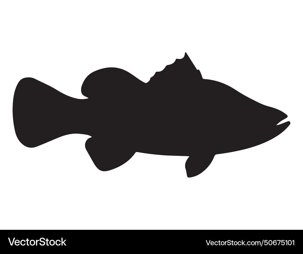Barramundi fish silhouette art Royalty Free Vector Image