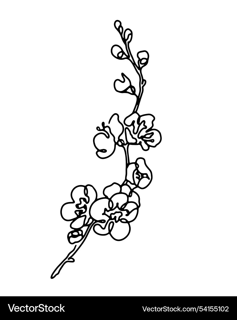 Cherry blossom branch abstract line art drawing Vector Image