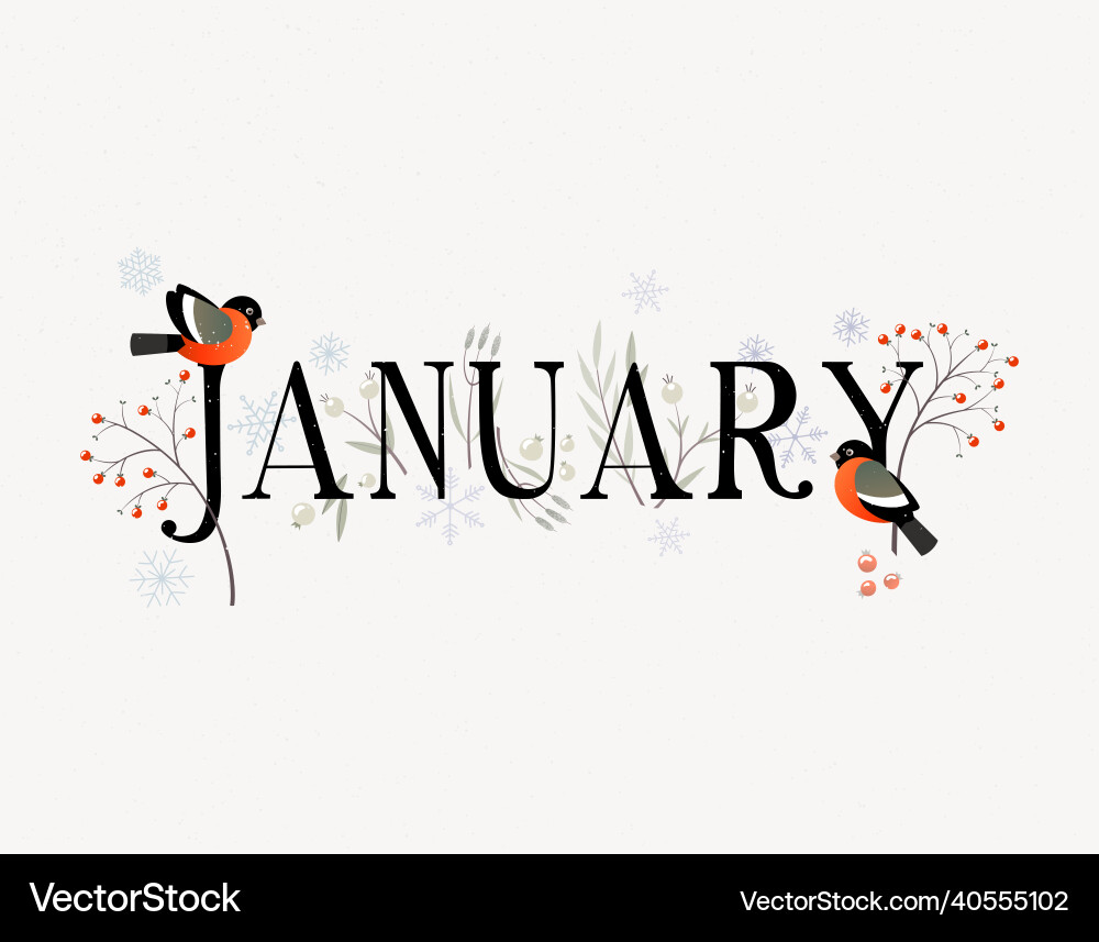 January with decorationsbranches and birds Vector Image