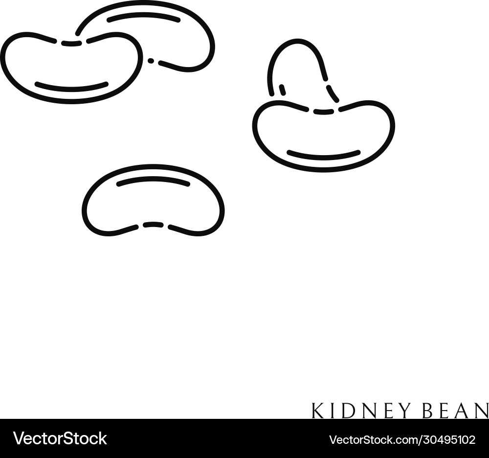Kidney bean icon set Royalty Free Vector Image