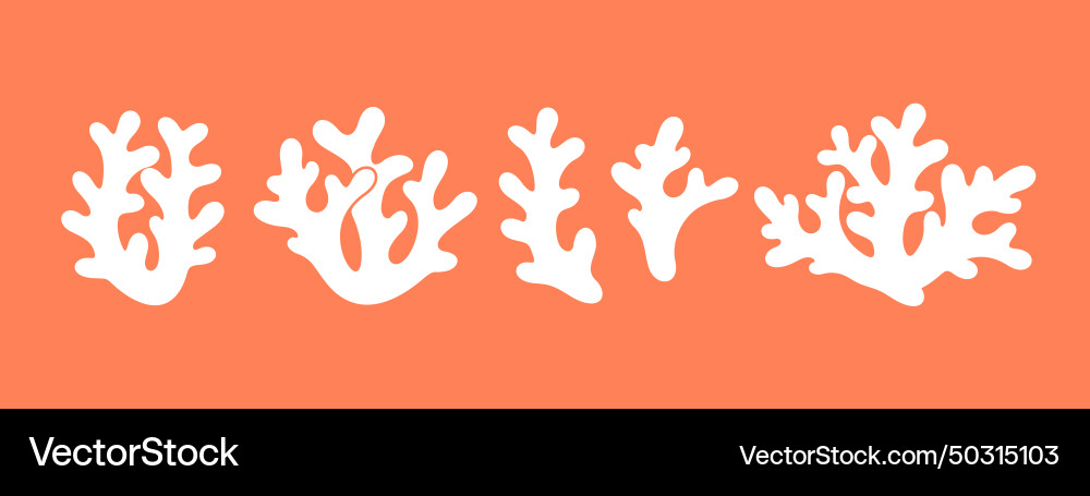 Coral Royalty Free Vector Image - VectorStock