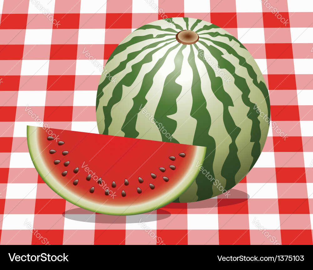 Watermelon Royalty Free Vector Image - VectorStock