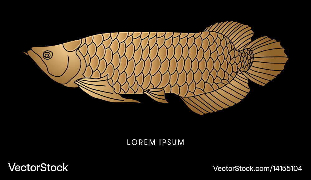 Arowana fish graphic Royalty Free Vector Image