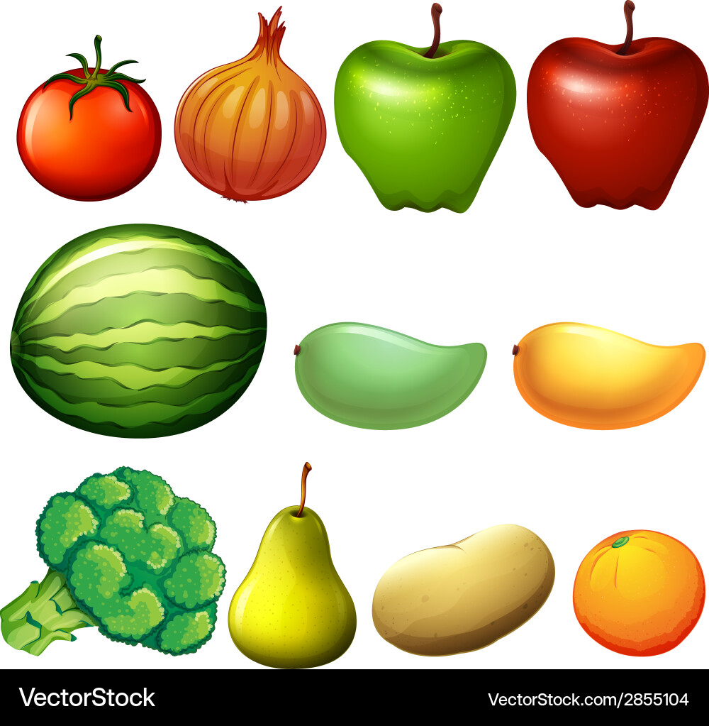 Different fruits Royalty Free Vector Image - VectorStock