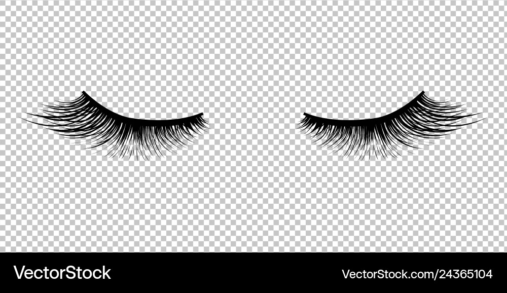 Eyelashes Transparent Vector Images (over 220)