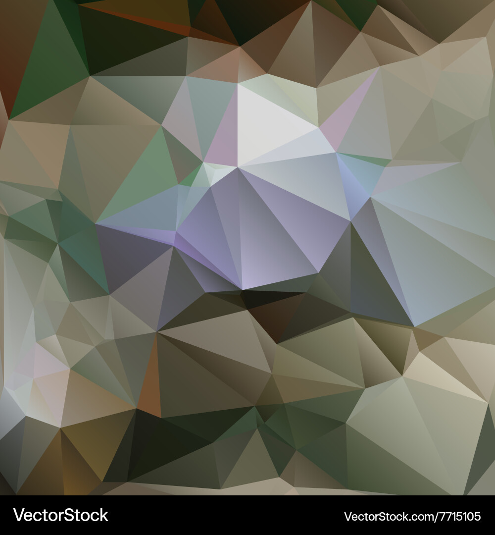 Gray triangle abstract background Royalty Free Vector Image