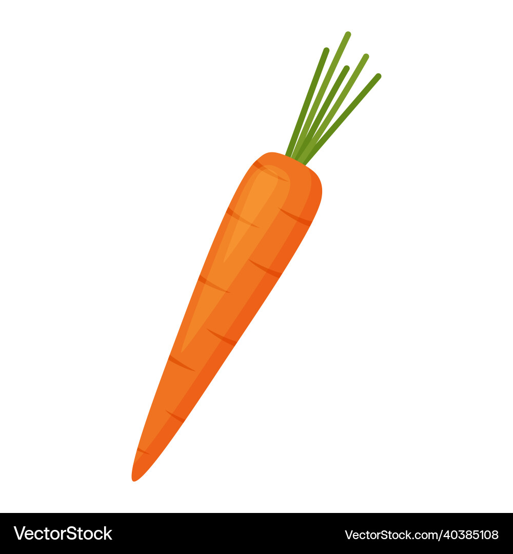 Carrot Royalty Free Vector Image - VectorStock