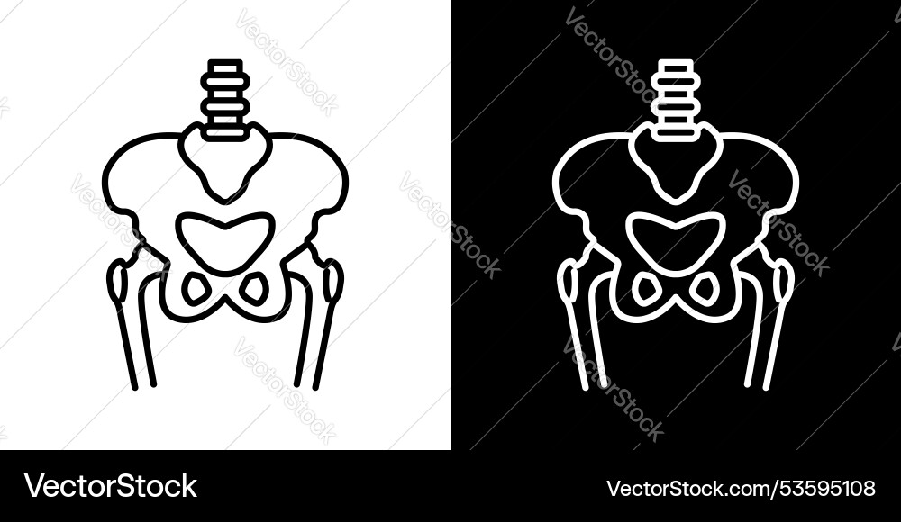 Pelvis thin line icon set Royalty Free Vector Image