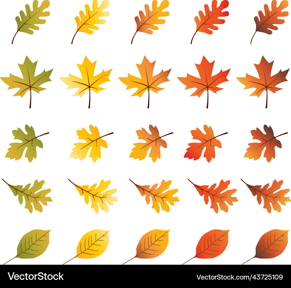 Autumn leaves Royalty Free Vector Image - VectorStock