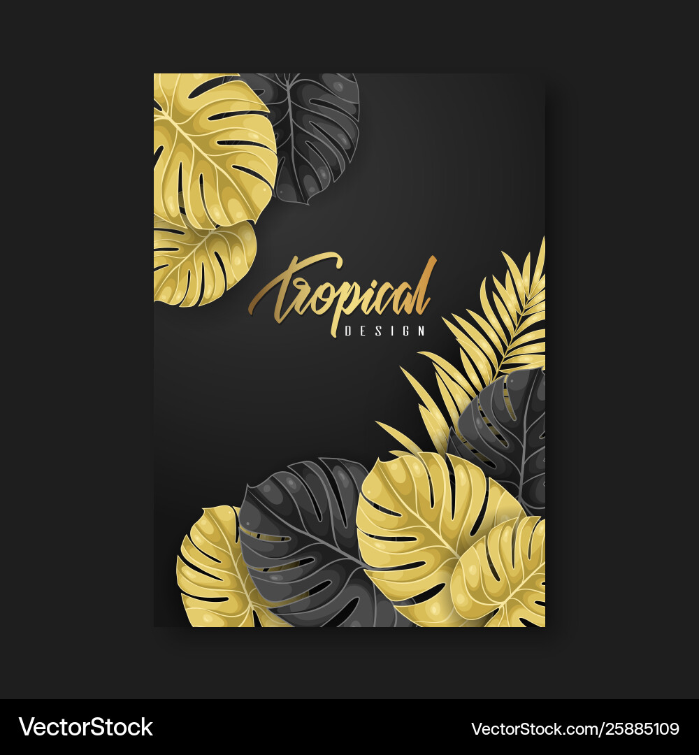 Flyer design background brochure template Vector Image