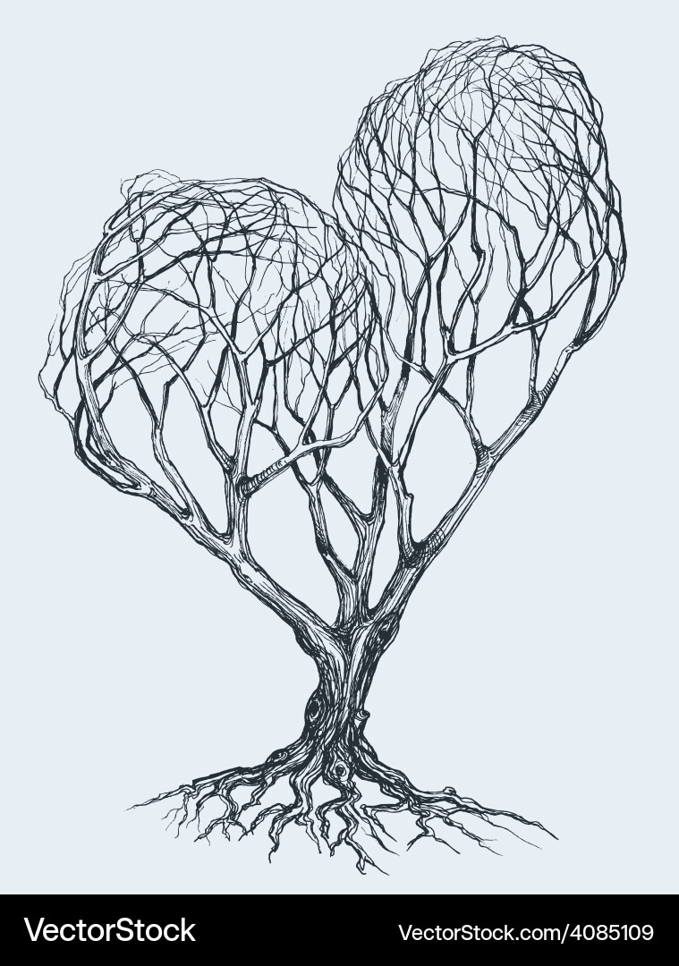 Graphic heart shaped tree sketch Royalty Free Vector Image