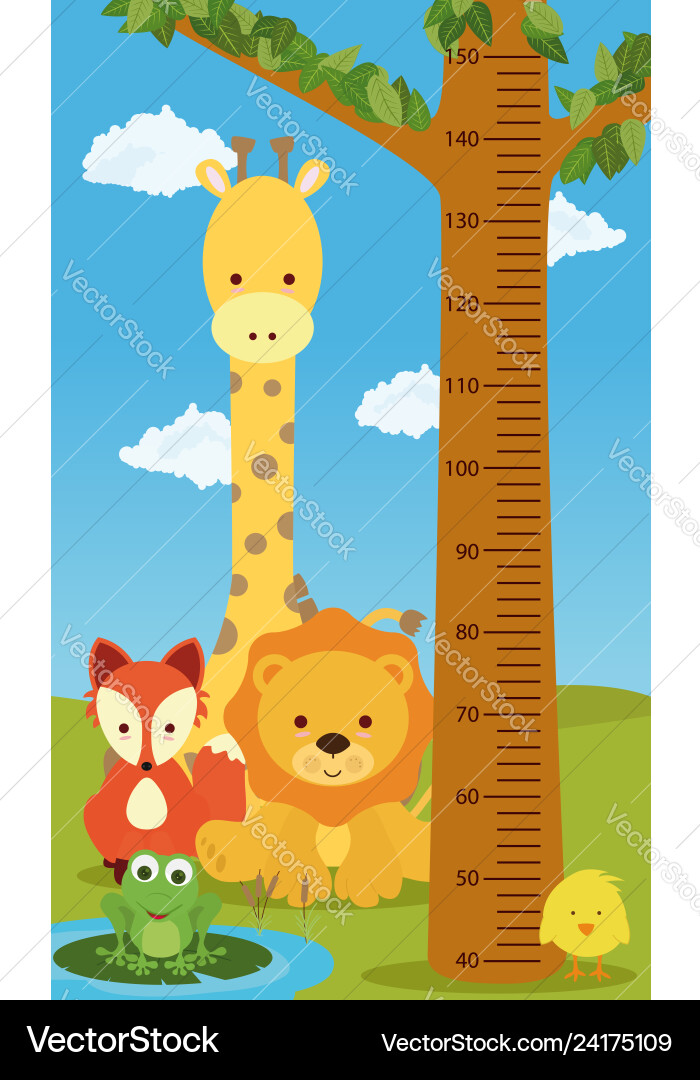 Height chart animals Royalty Free Vector Image