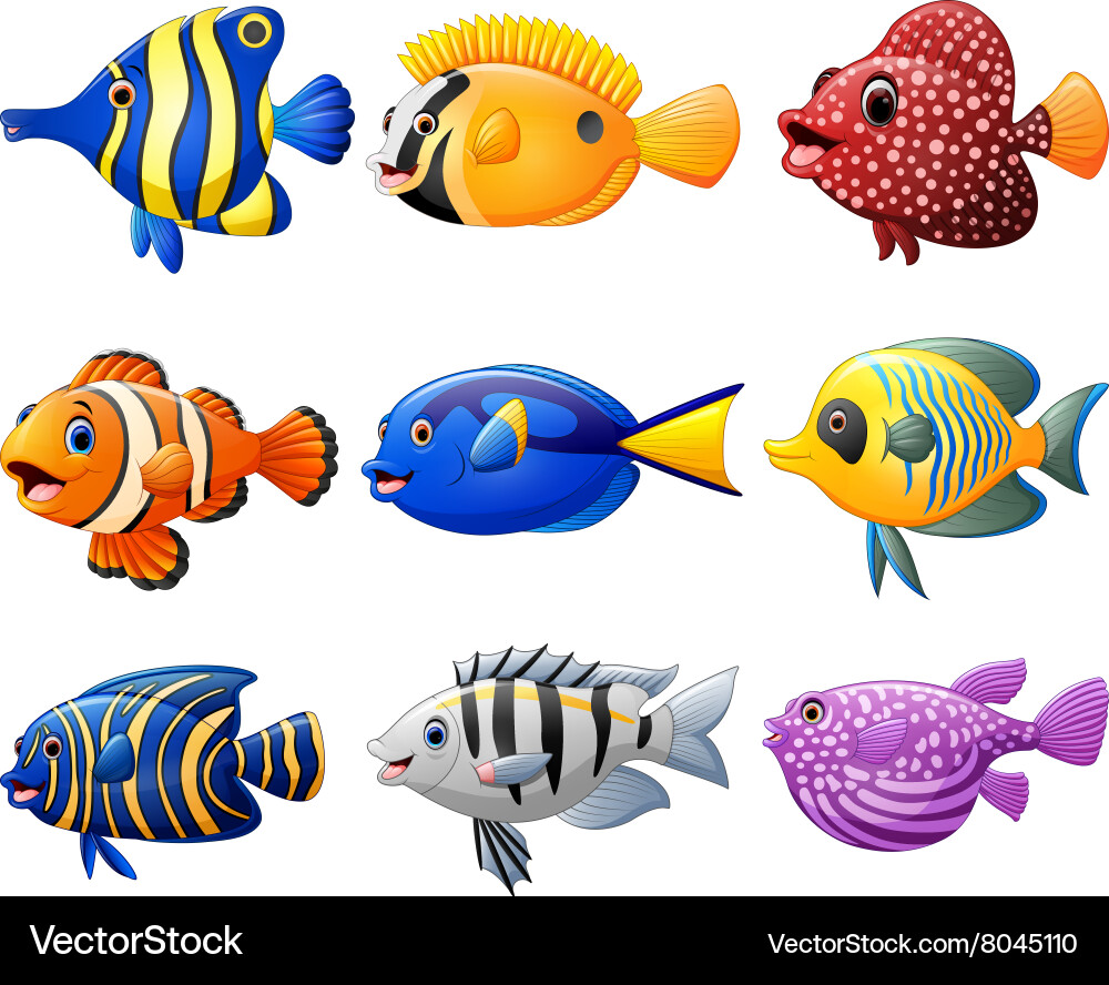 Fish cartoon set Royalty Free Vector Image - VectorStock