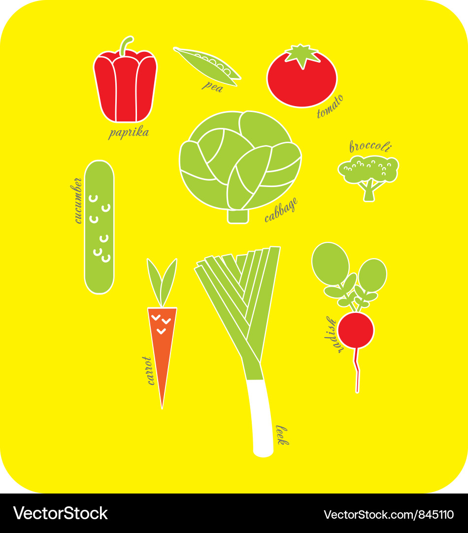 Set of vegetables Royalty Free Vector Image - VectorStock