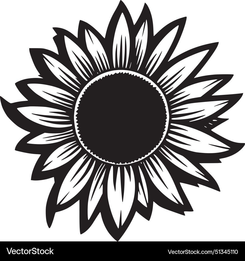 Sunflower - black and white isolated icon Vector Image
