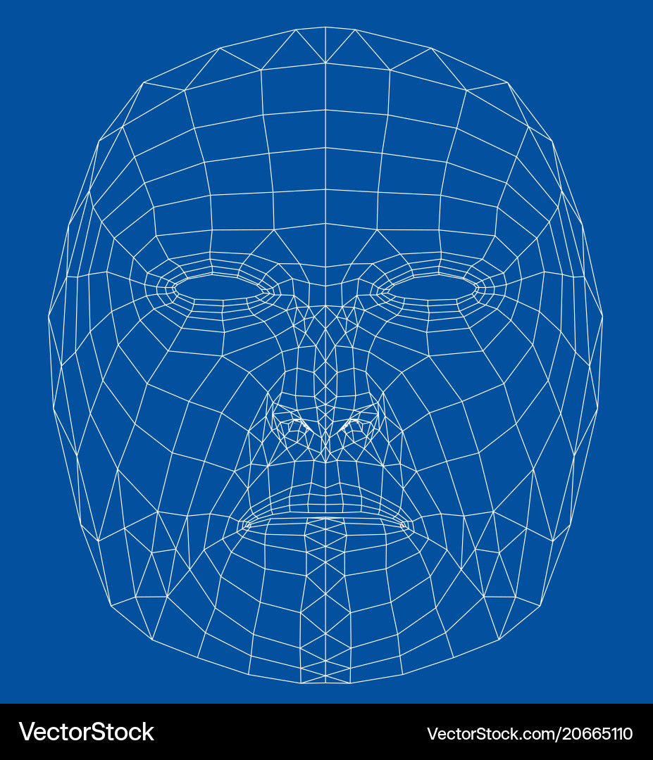 Wire-frame abstract human face Royalty Free Vector Image